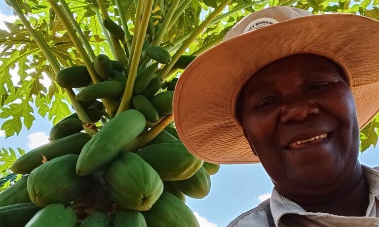 Gender Links | Zimbabwe: Driving climate justice through horticulture…