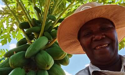 Gender Links | Zimbabwe: Driving climate justice through horticulture…