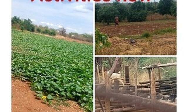 Gender Links | Zimbabwe: From Scars to Stars — The Journey of women…