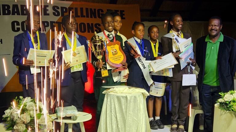 Gender Links | Chiredzi Town Council