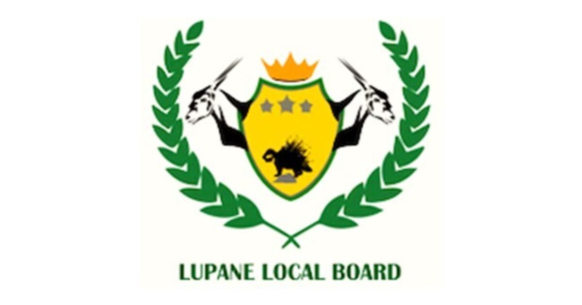 Gender Links | Lupane Local Board