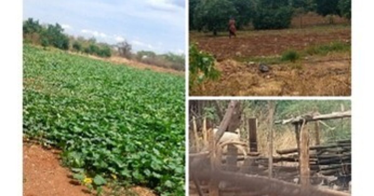 Gender Links | Zimbabwe: From Scars to Stars — The Journey of women…