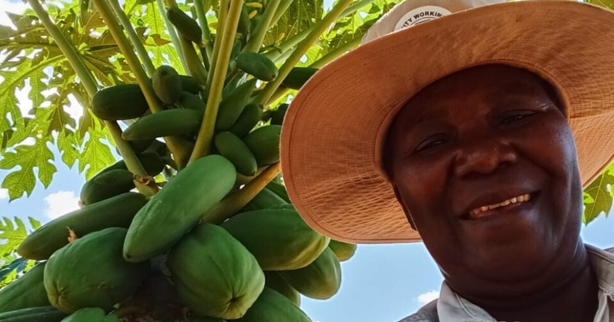 Gender Links | Zimbabwe: Driving climate justice through horticulture…